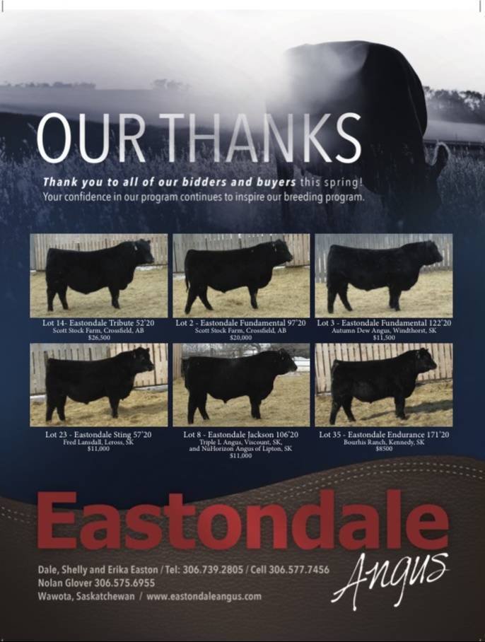 Eastondale Angus